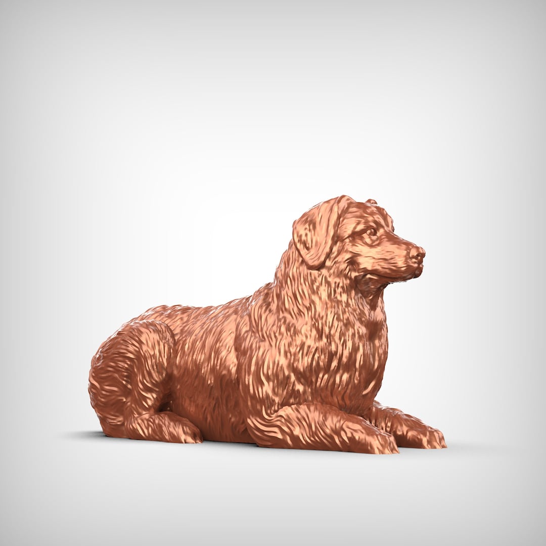 Bernese Mountain Dog 3D Print Model Pose 07 - Etsy UK