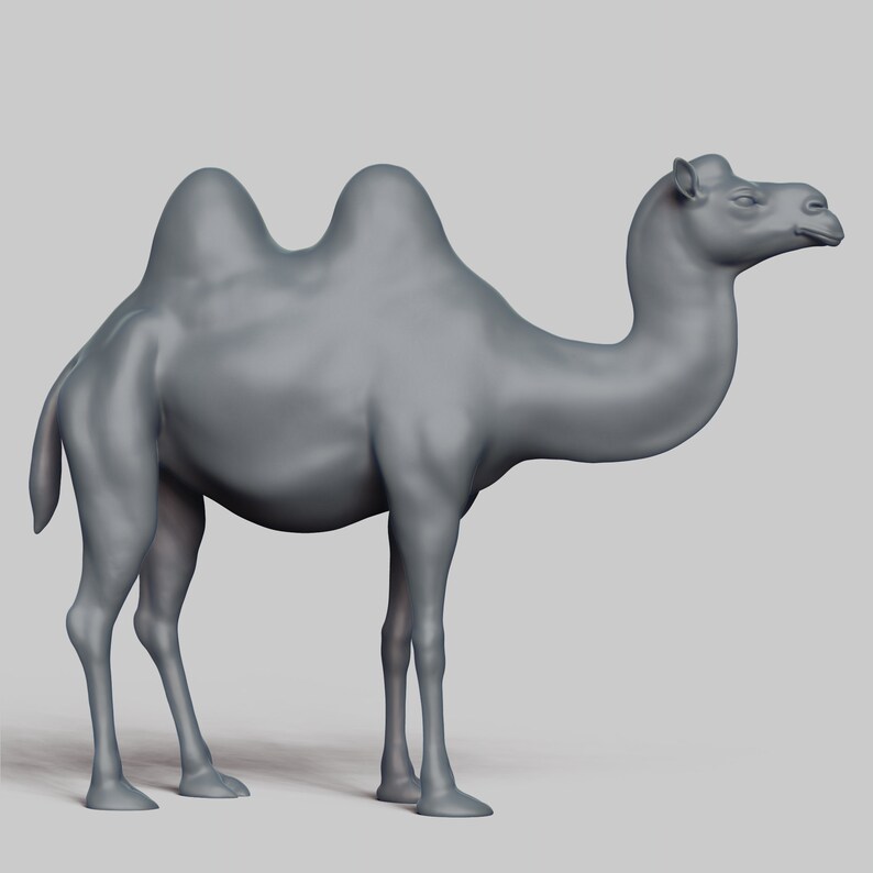 Bactrian Camel STL File 3D Print Model Pose 01 - Etsy
