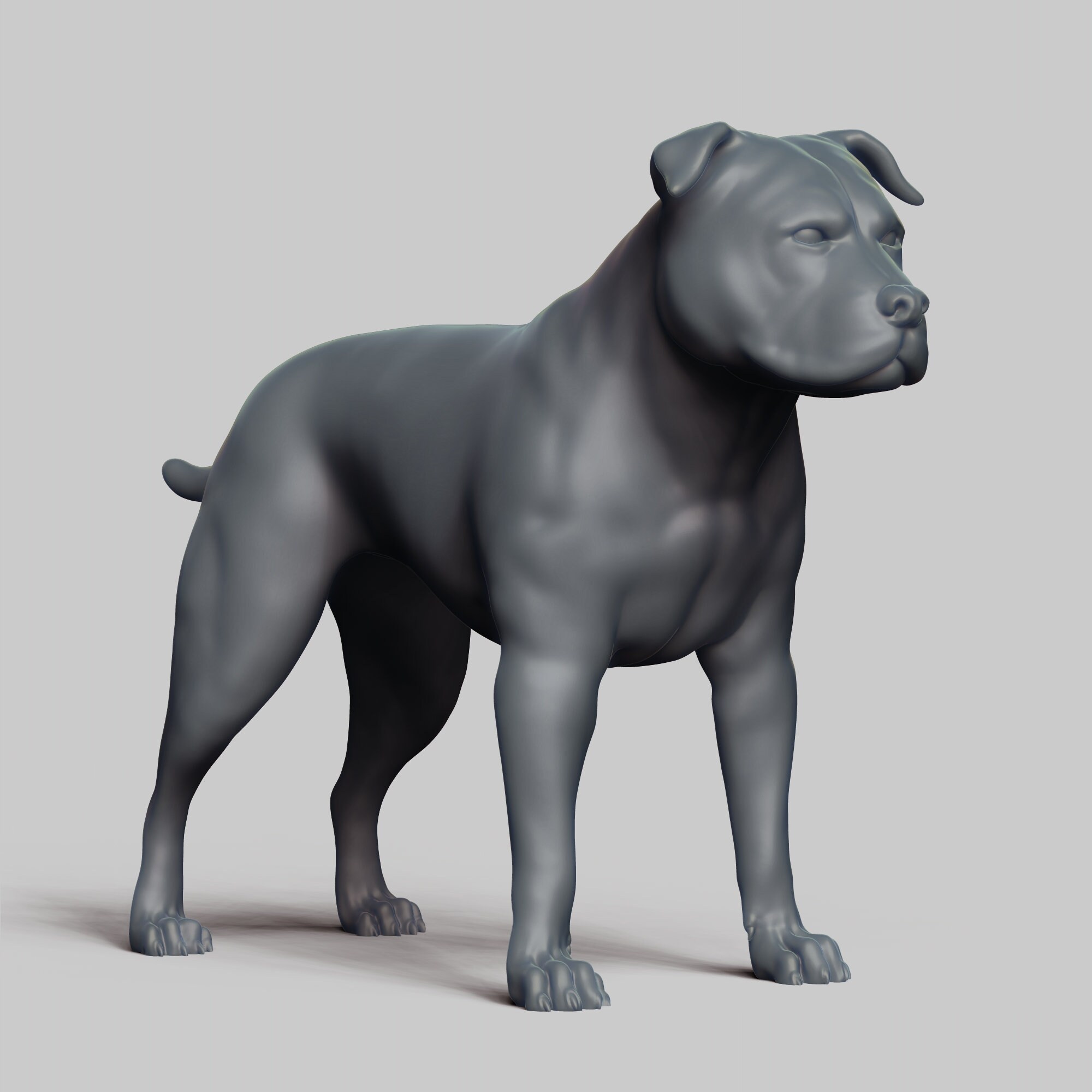 Staffy STL File 3D Print Model V3 | Etsy
