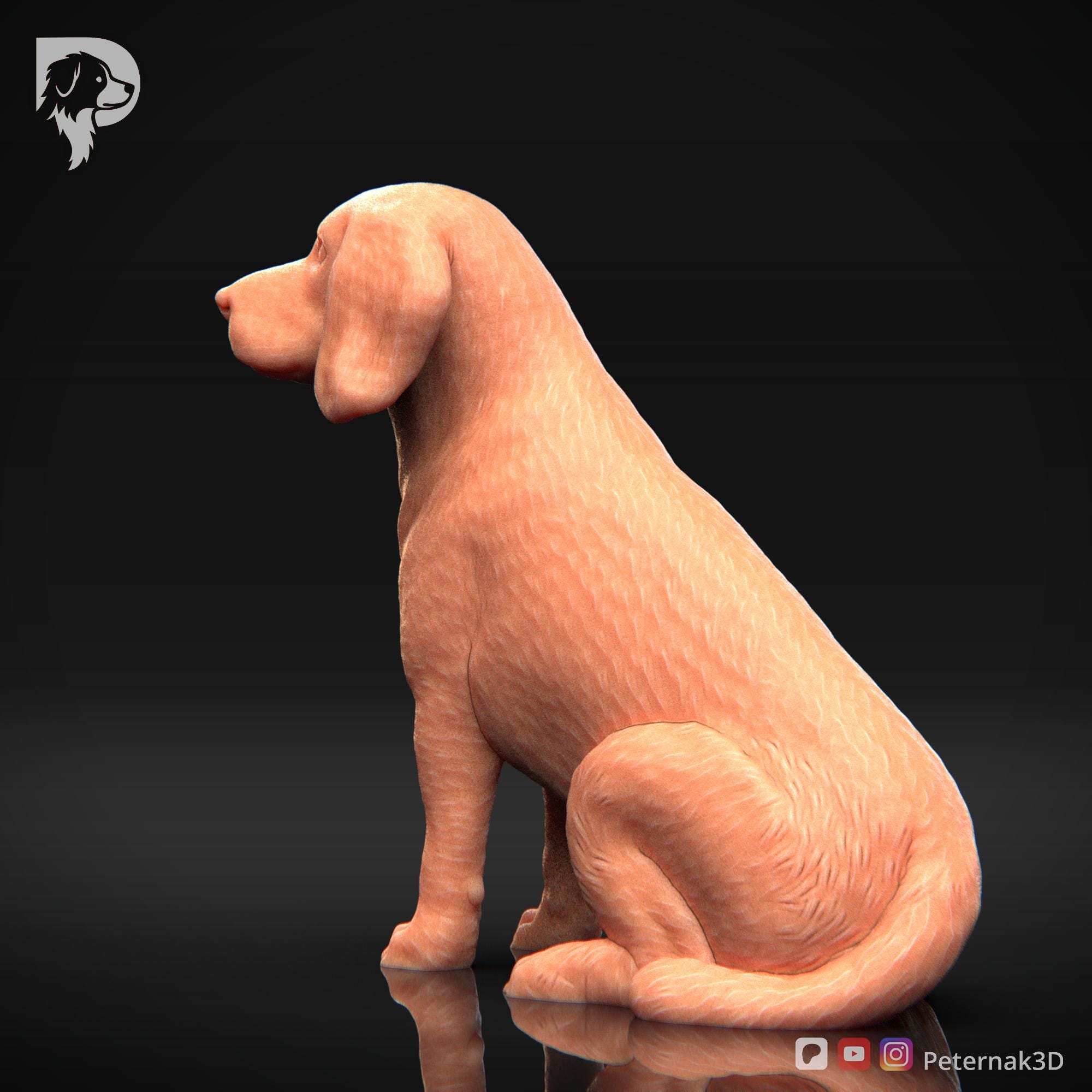 Beagle 3D Print Model Pose 05 - Etsy