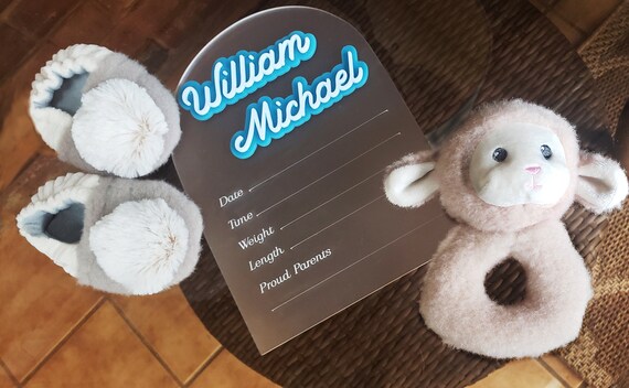 Personalized Baby Name Birth Sign Newborn Hospital Plaque - Etsy