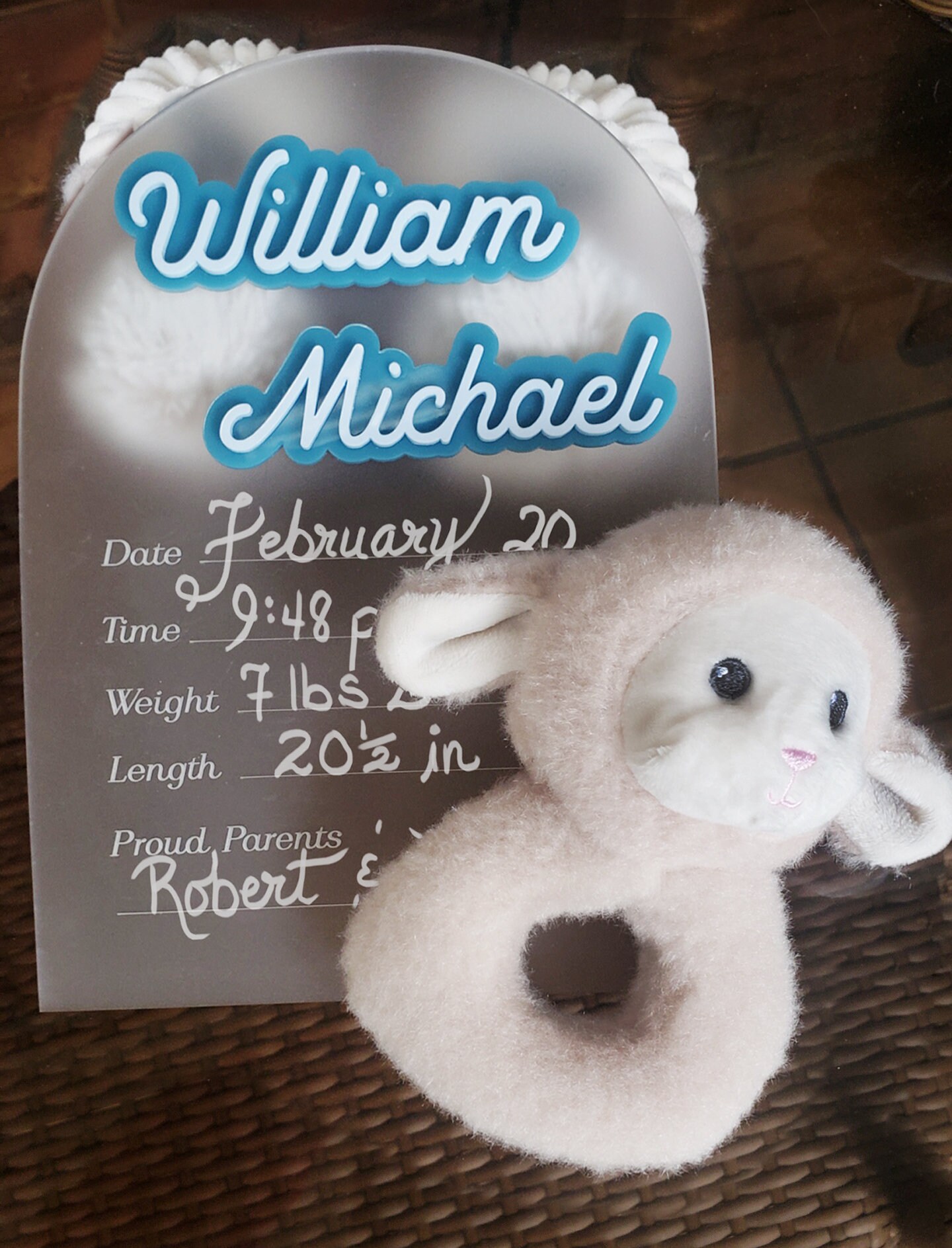 Personalized Baby Name Birth Sign Newborn Hospital Plaque - Etsy