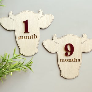 Cow Monthly Milestone Set, Reusable, Cow, Photo Prop, Monthly Pictures ...