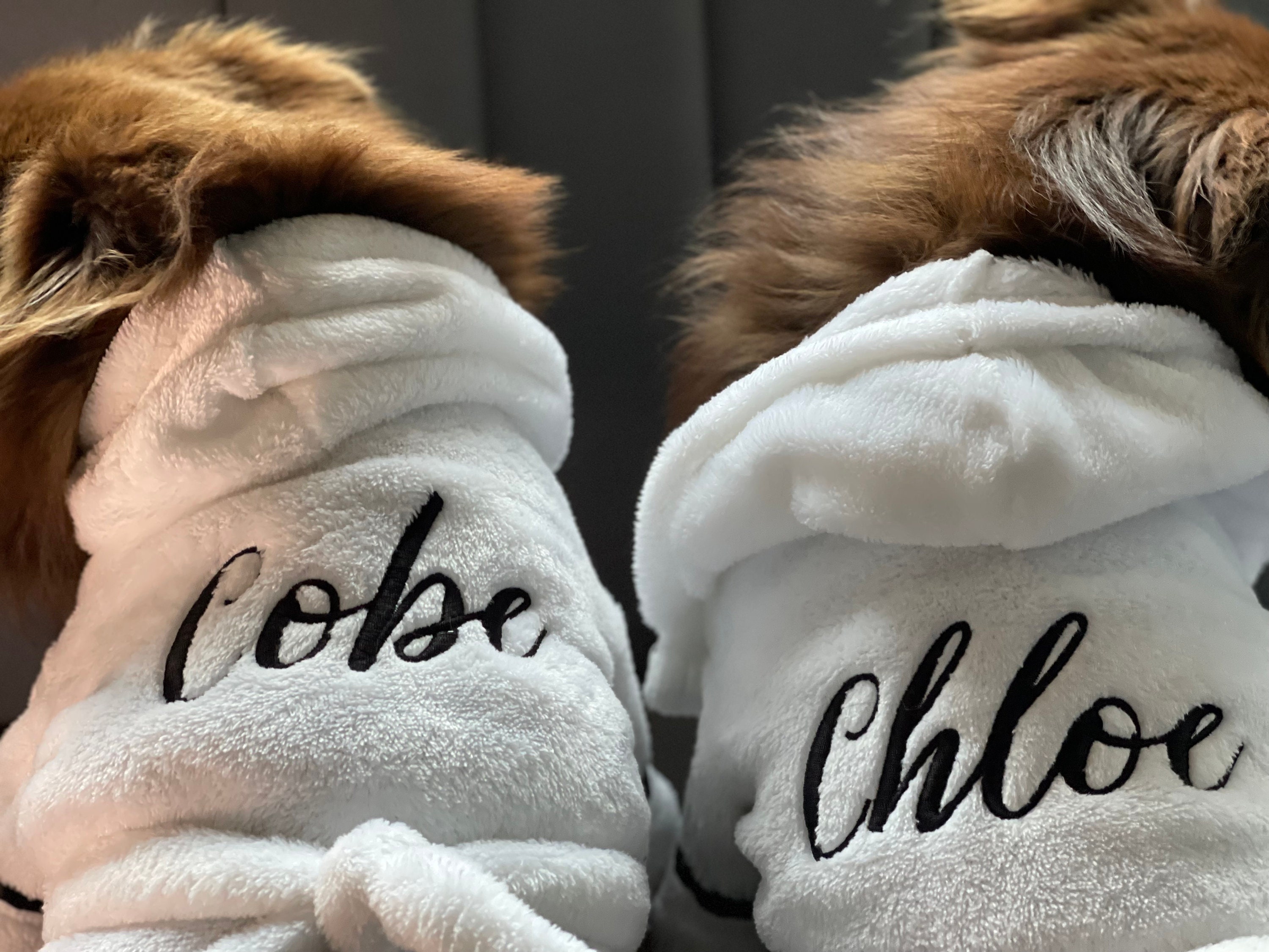 Cozy Dog Robe, Personalized Dog Robe, Embroidered Dog Towel, Custom Dog ...