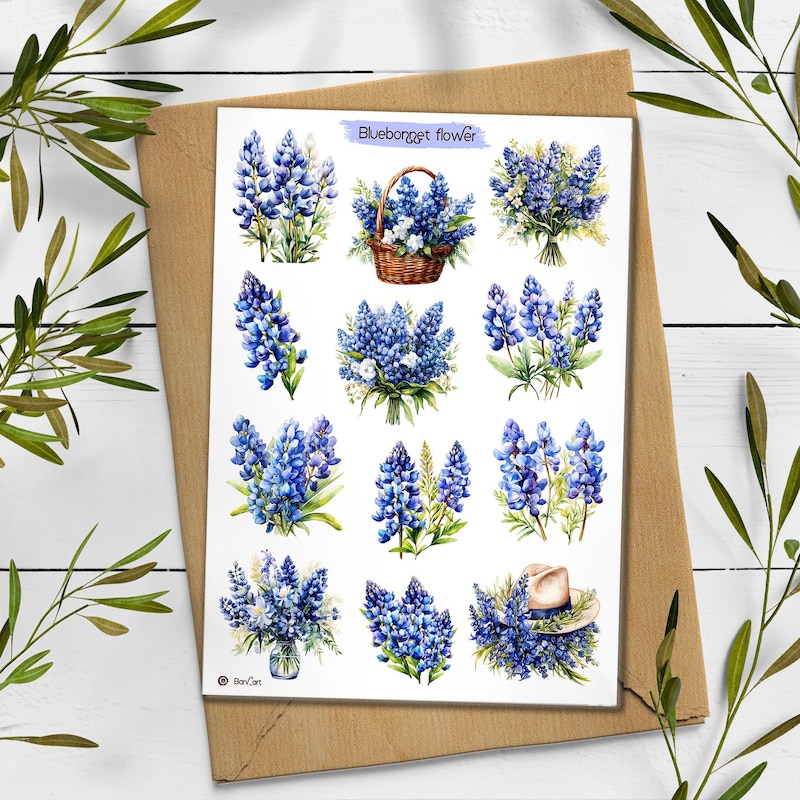 Bluebonnet - Etsy