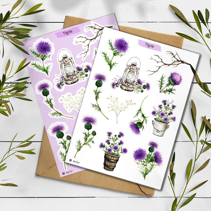 Thistle Flowers - Etsy