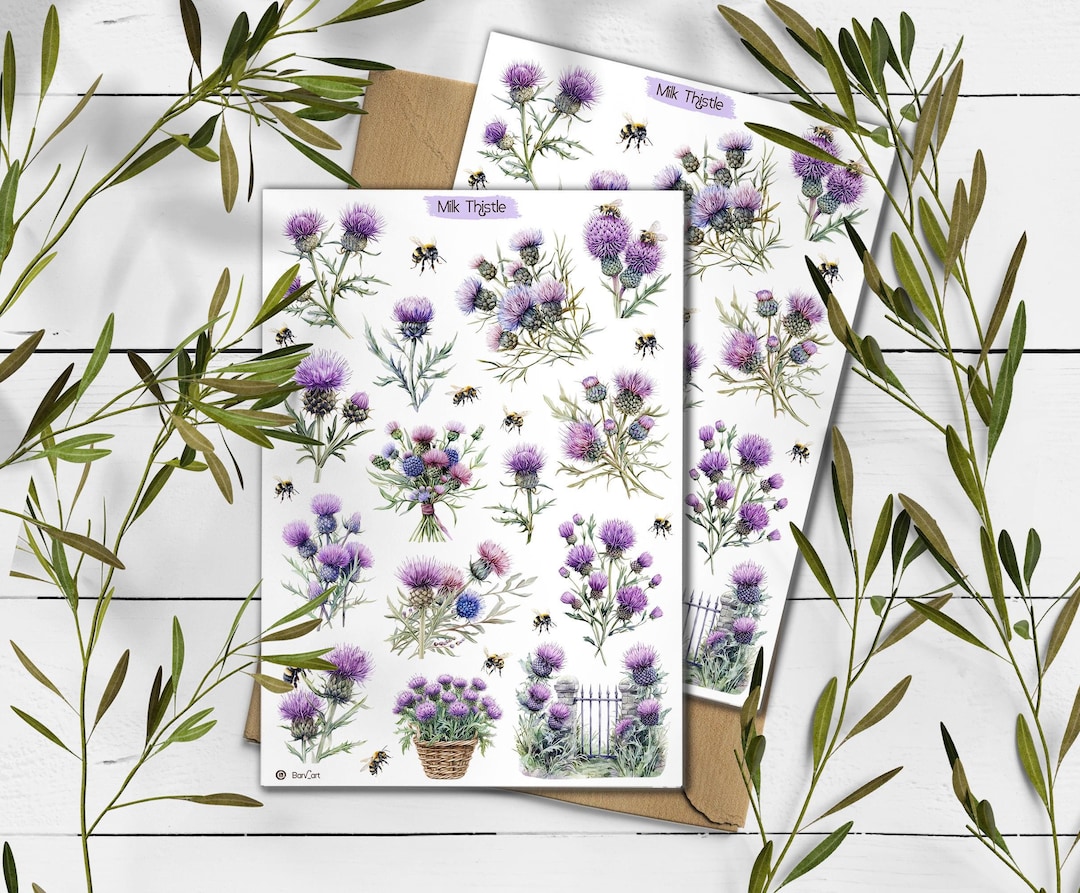 Thistle Stickers. Milk Thistle Flowers Sticker. Wildflowers Sticker Sheet. Scotland Stickers ...