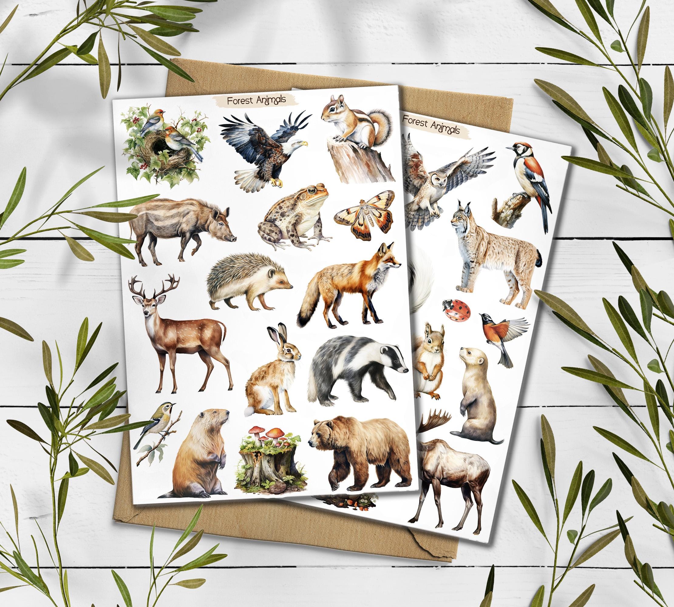 Forest Animals Sticker Pack: Woodland Scrapbooking Stickers - Etsy