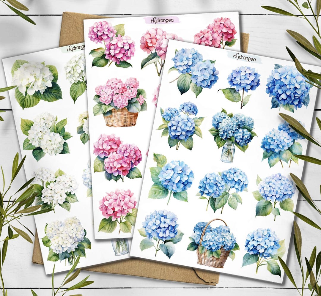 Hydrangea Stickers. White Hydrangea Stickers. Blue Hydrangea Flower ...