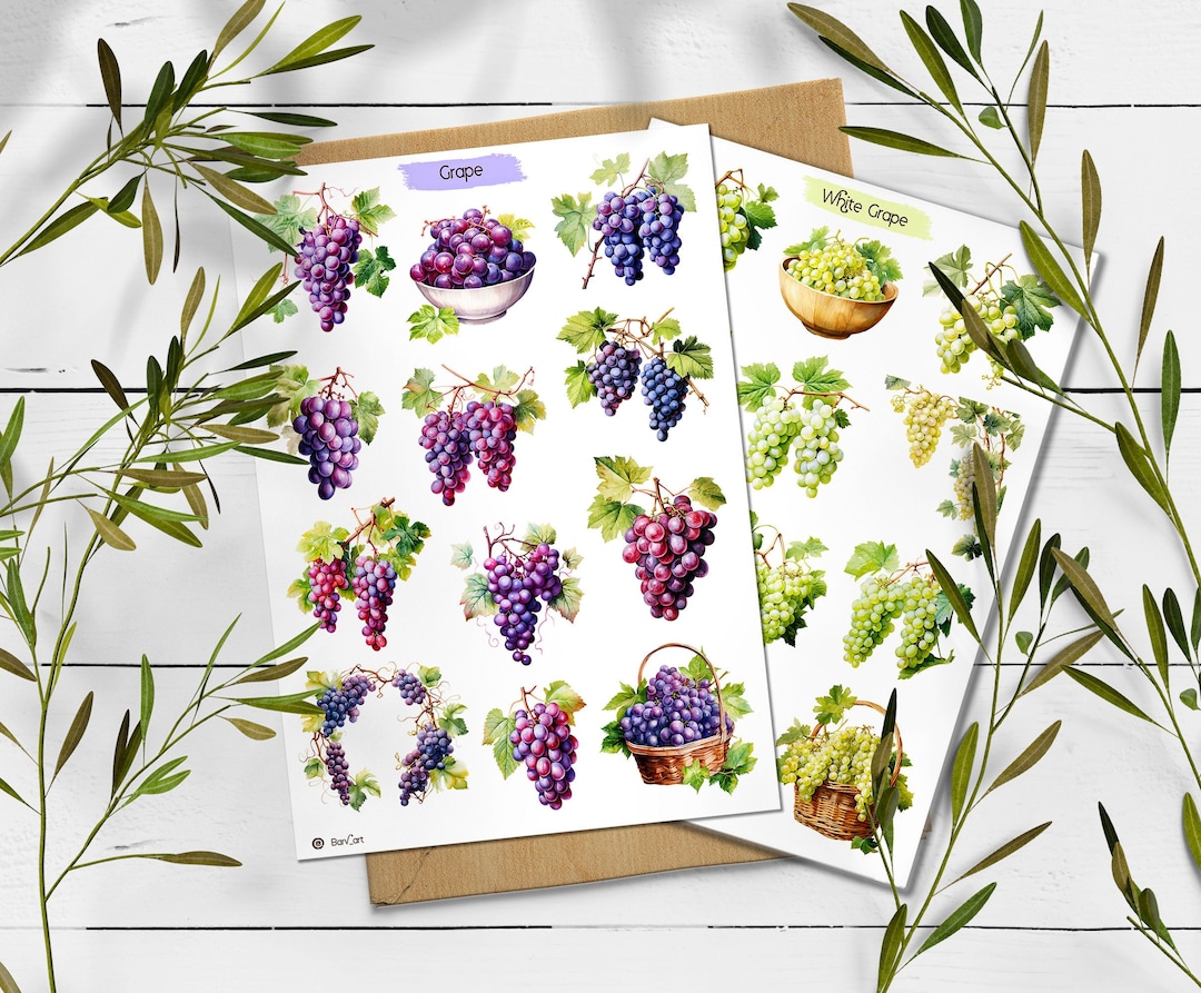 Grape Stickers. White Grape Sticker Sheet. Foraged Summer Sticker ...
