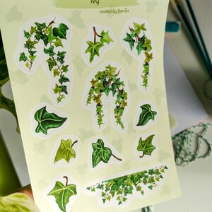 Ivy Stickers. Green Ivy Sticker Pack. Plant Holiday Stickers. - Etsy