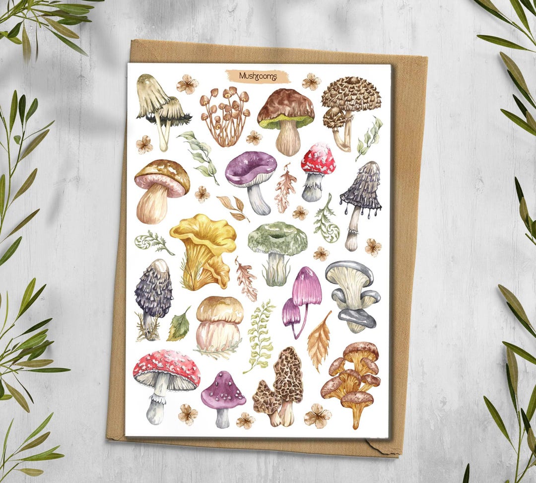 Mushroom Sticker Sheet. Autumn Foraging, Woodland Fungi Stickers ...