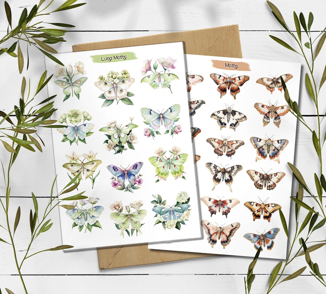 Luna Moth Sticker Sheet: Rainbow Insect Decals for Journaling - Etsy