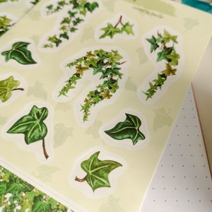 Ivy Stickers. Green Ivy Sticker Pack. Plant Holiday Stickers. - Etsy