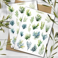 Green Algae Seaweed Wall Decal Removable Wall Sticker - Ocean Sea ...