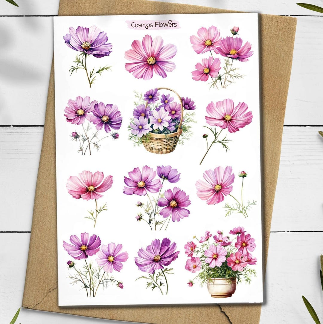 Cosmos Flower Stickers: Wildflower Spring Planner Stickers - Etsy