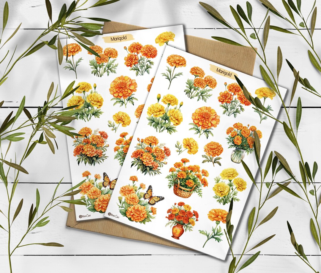 Marigold Stickers. Marigold Flowers Sticker. Wildflowers Sticker Pack ...