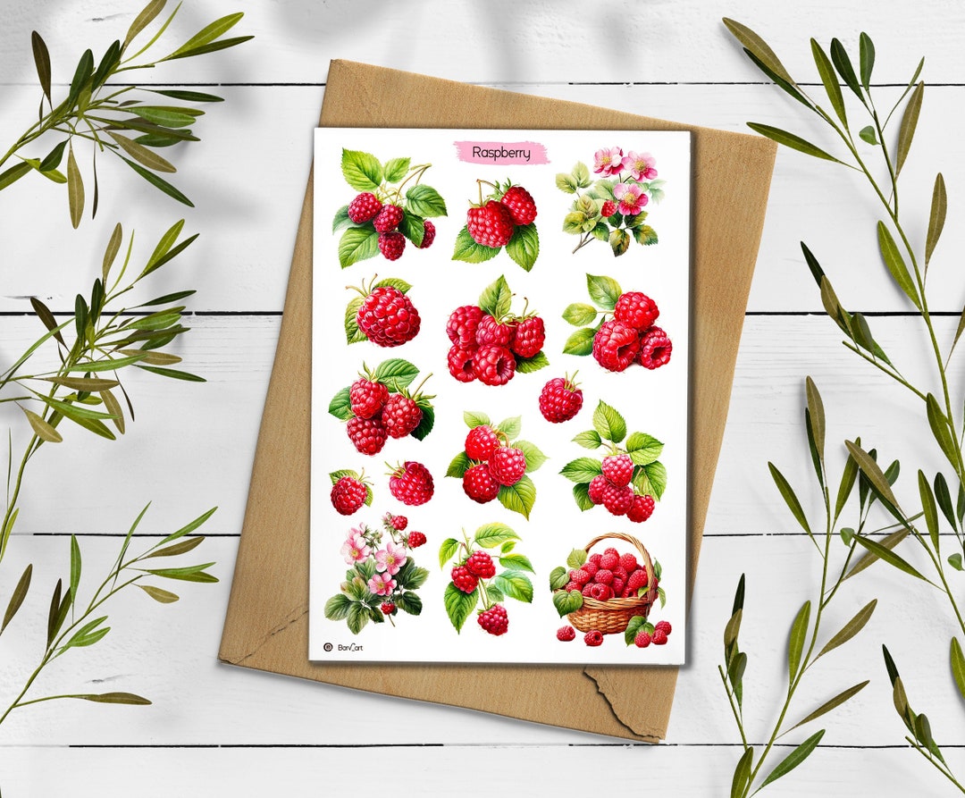 Raspberry Stickers. Raspberry Cottagecore Stickers. Raspberry Summer ...