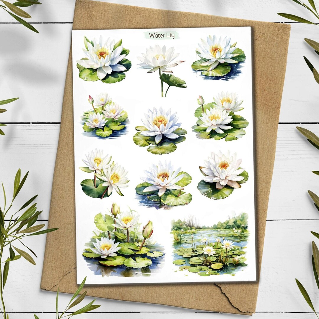 Water Lily Stickers. Water Lily Flowers Sticker. Lotus Flower Stickers ...