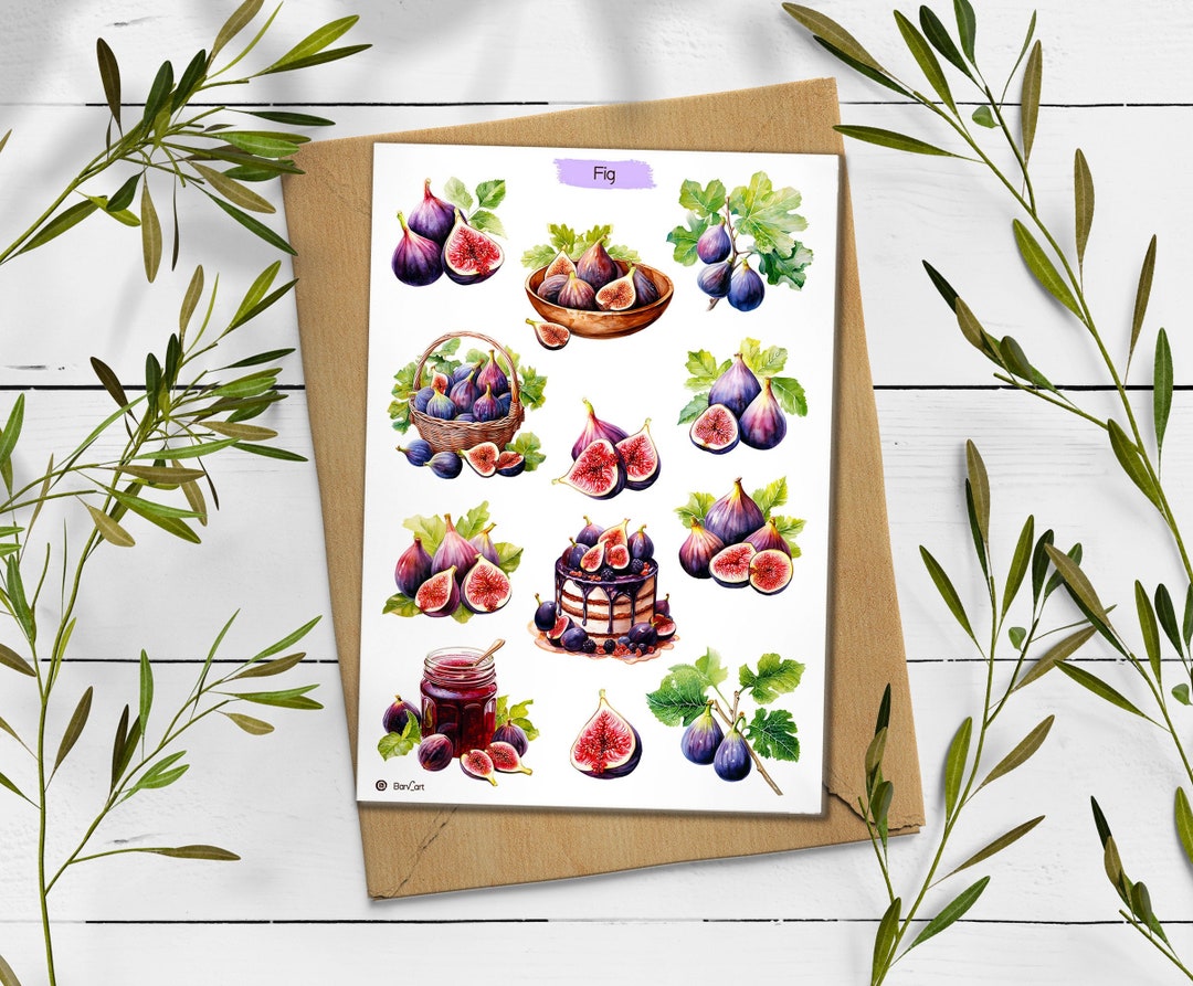 Fig Sticker Sheet: Summer Fruit Stickers for Journaling - Etsy