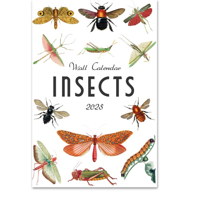 Insect Wall Hanging - Etsy