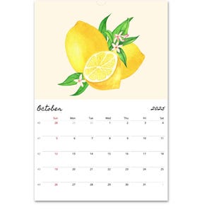 2025 2026 Calendar, Lemon Calendar, Mid Year Calendar, Monthly Calendar ...