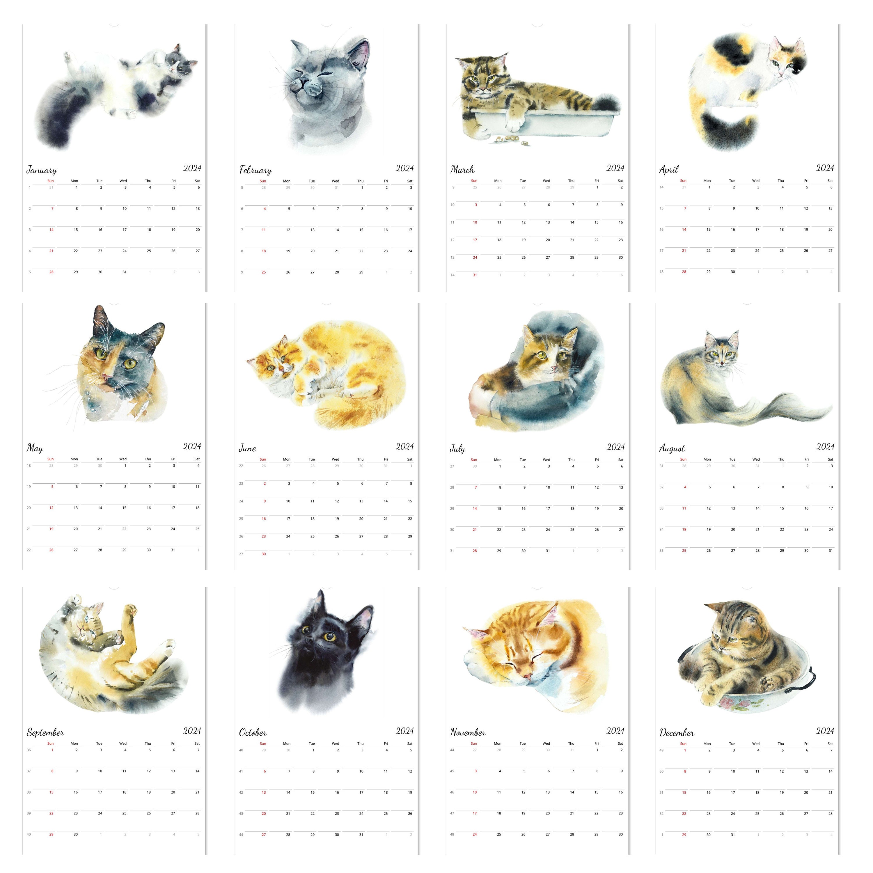 2024 Calendar, Cat Calendar, Pet Calendar, Blank Calendar, Hanging ...