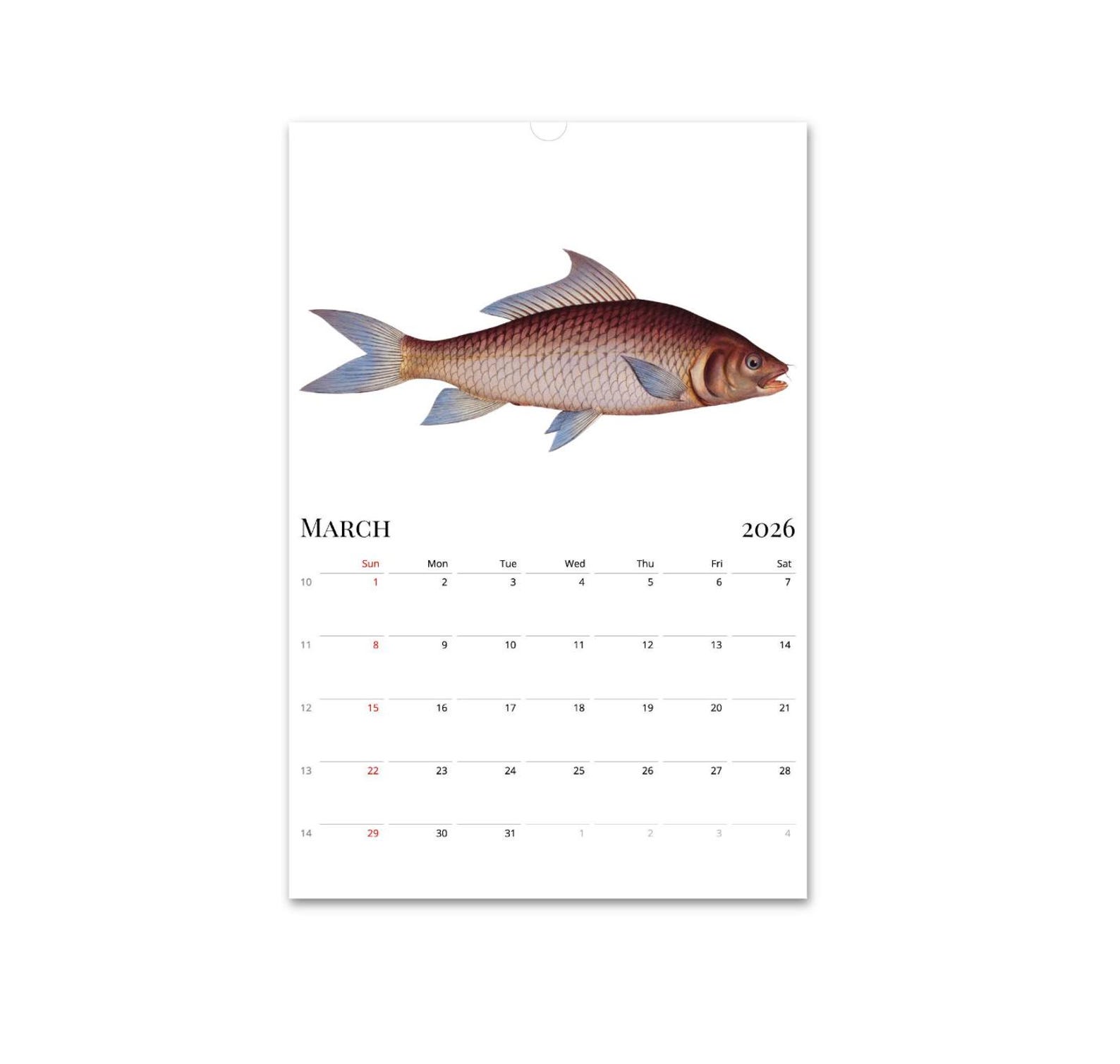 Retro Fish Wall Calendar 2026: Angler Gift, A3 Size, Monthly Calendar ...