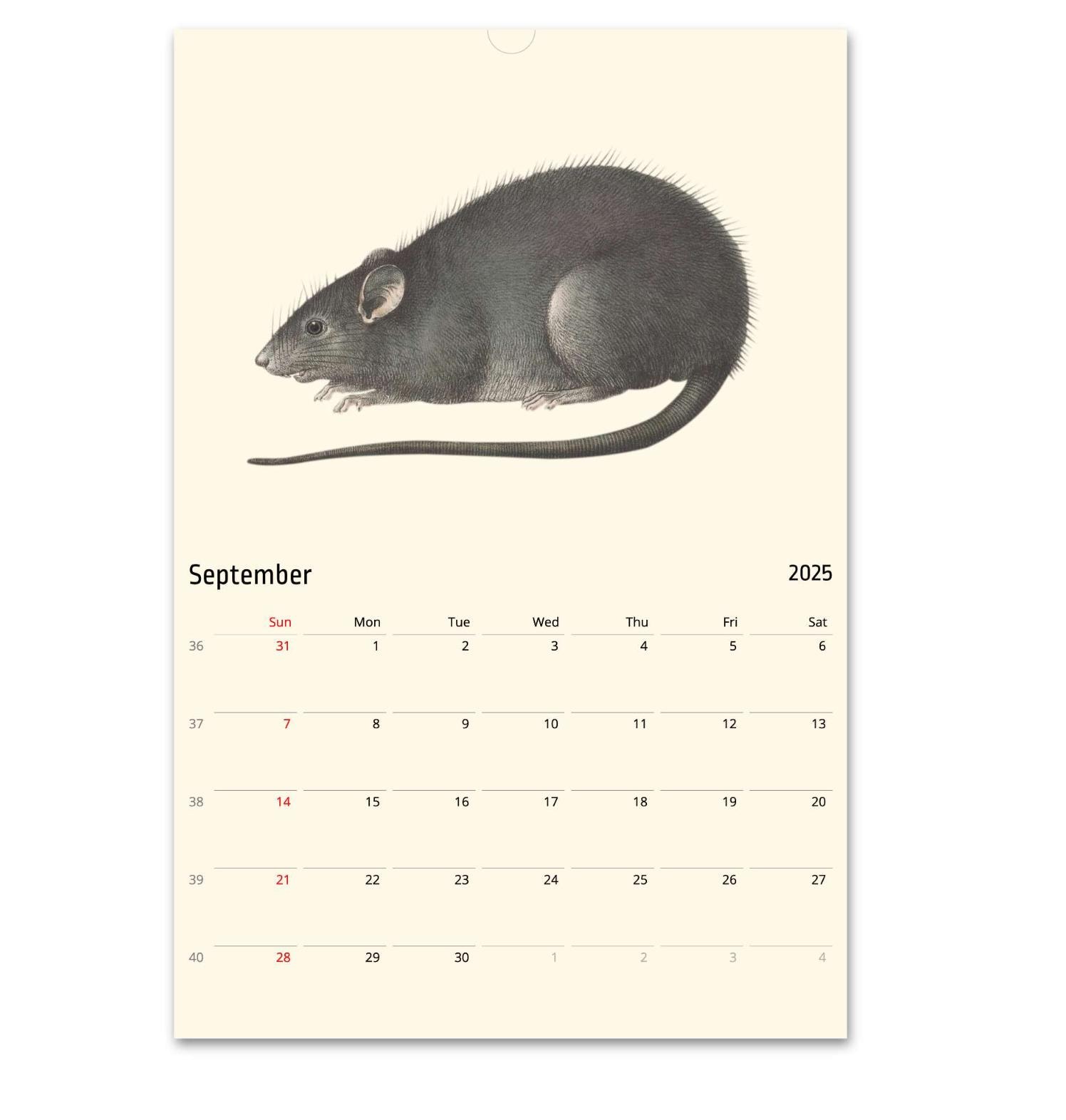 2026 Calendar, Rats Calendar, Rat Lover Gift, Hanging Calendar, Vintage ...