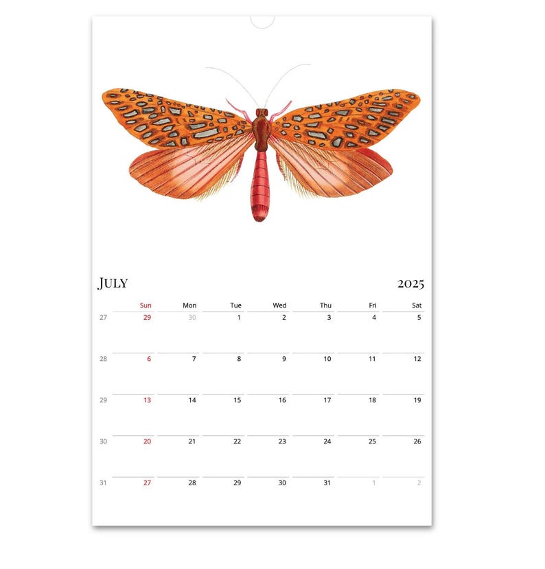 2026 2027 Wall Calendar, Insect Calendar, Bugs Calendar, Entomology ...