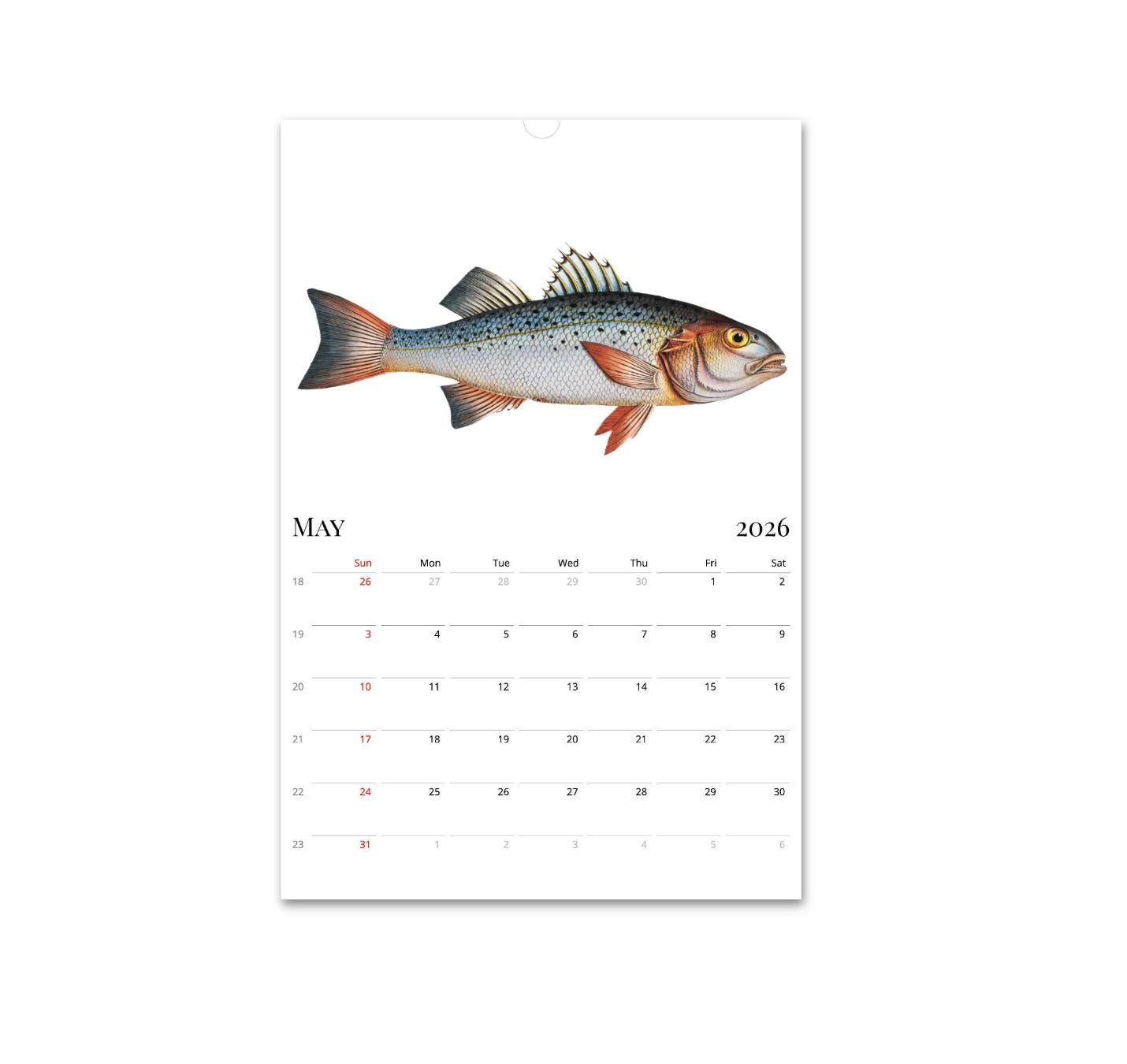 Retro Fish Wall Calendar 2026: Angler Gift, A3 Size, Monthly Calendar ...