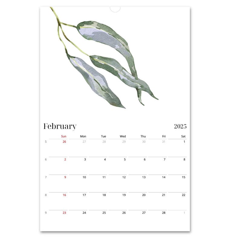 2026 2027 Wall Calendar, Botanical Calendar, Academic Calendar ...