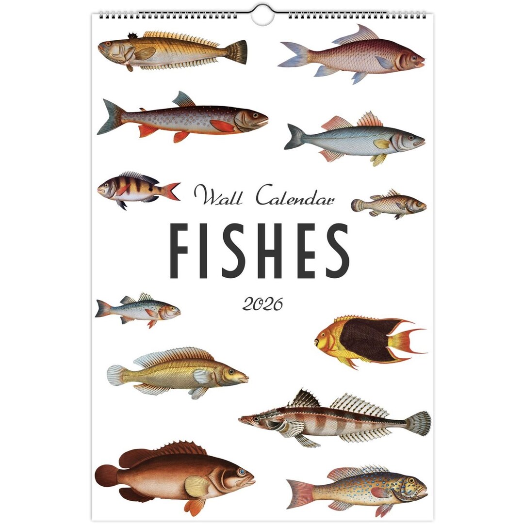 Retro Fish Wall Calendar 2026: Angler Gift, A3 Size, Monthly Calendar ...