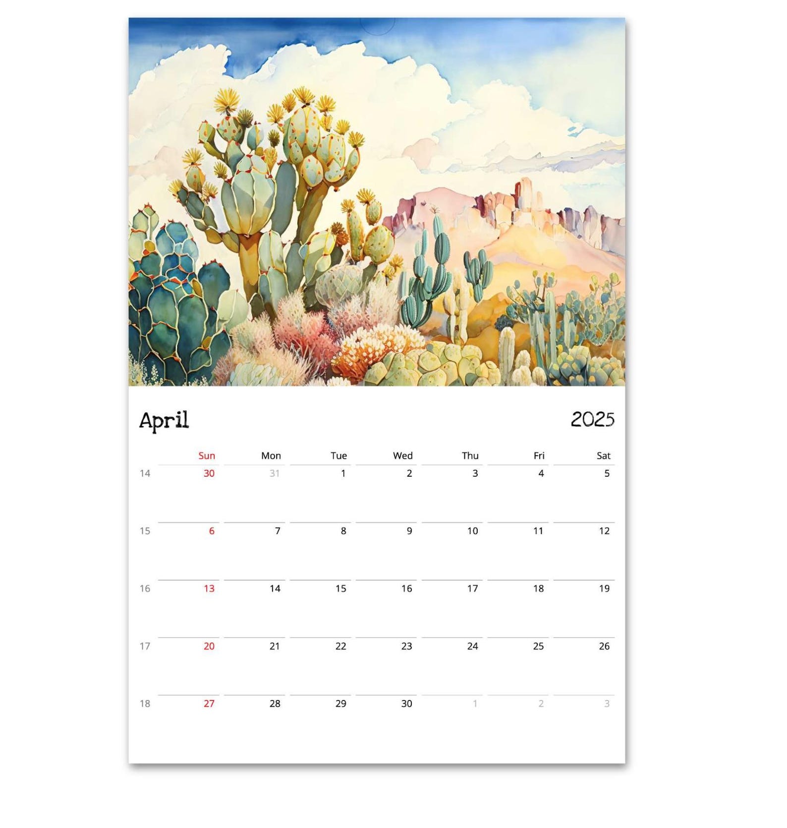 2026 Wall Calendar, Cactus Calendar, Succulent Calendar, Monthly ...