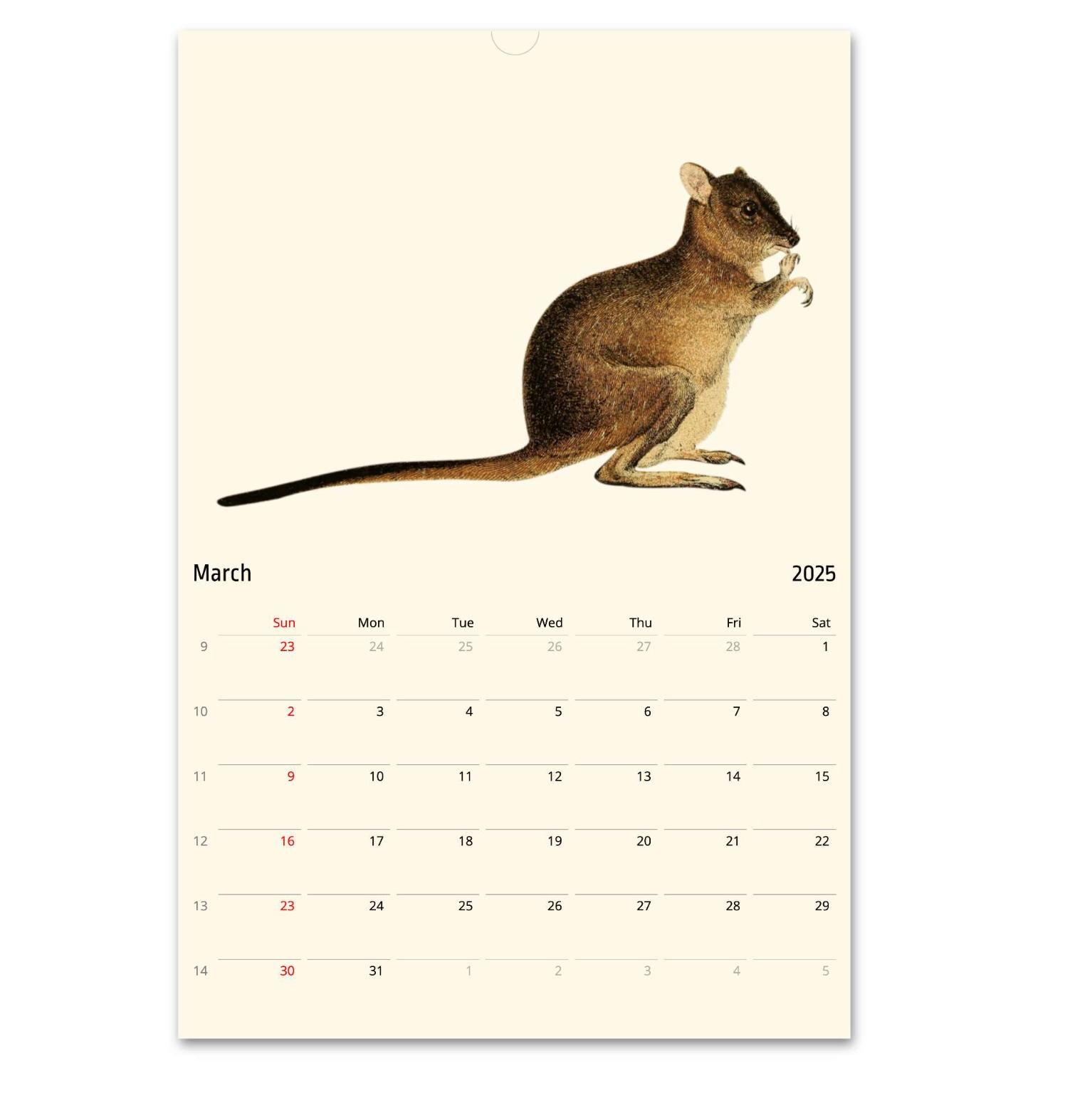 2026 2027 Calendar, Rats Calendar, Rat Lover Gift, Hanging Calendar ...