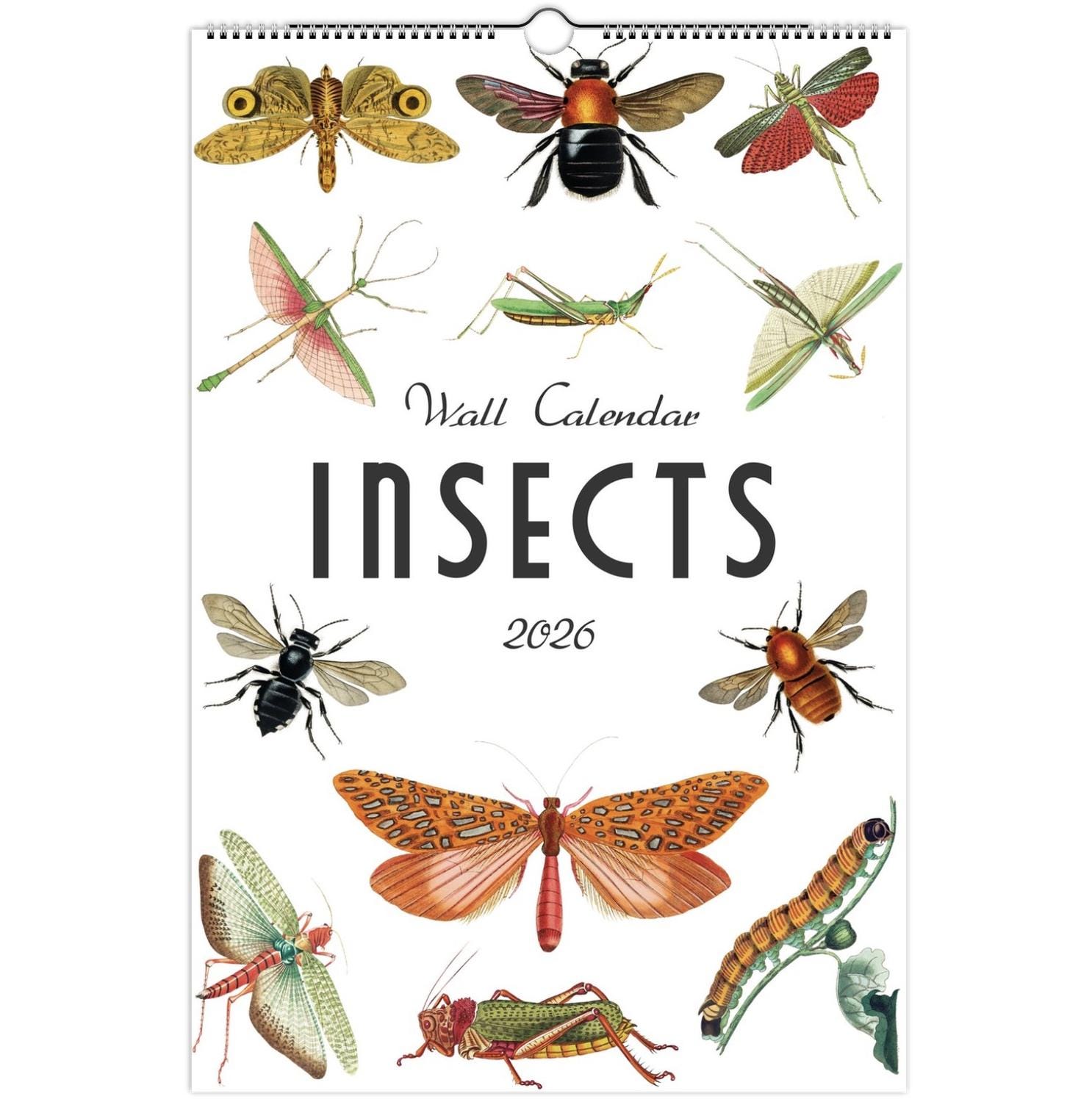 2026 Wall Calendar, Insect Calendar, Bugs Calendar, Entomology Calendar ...