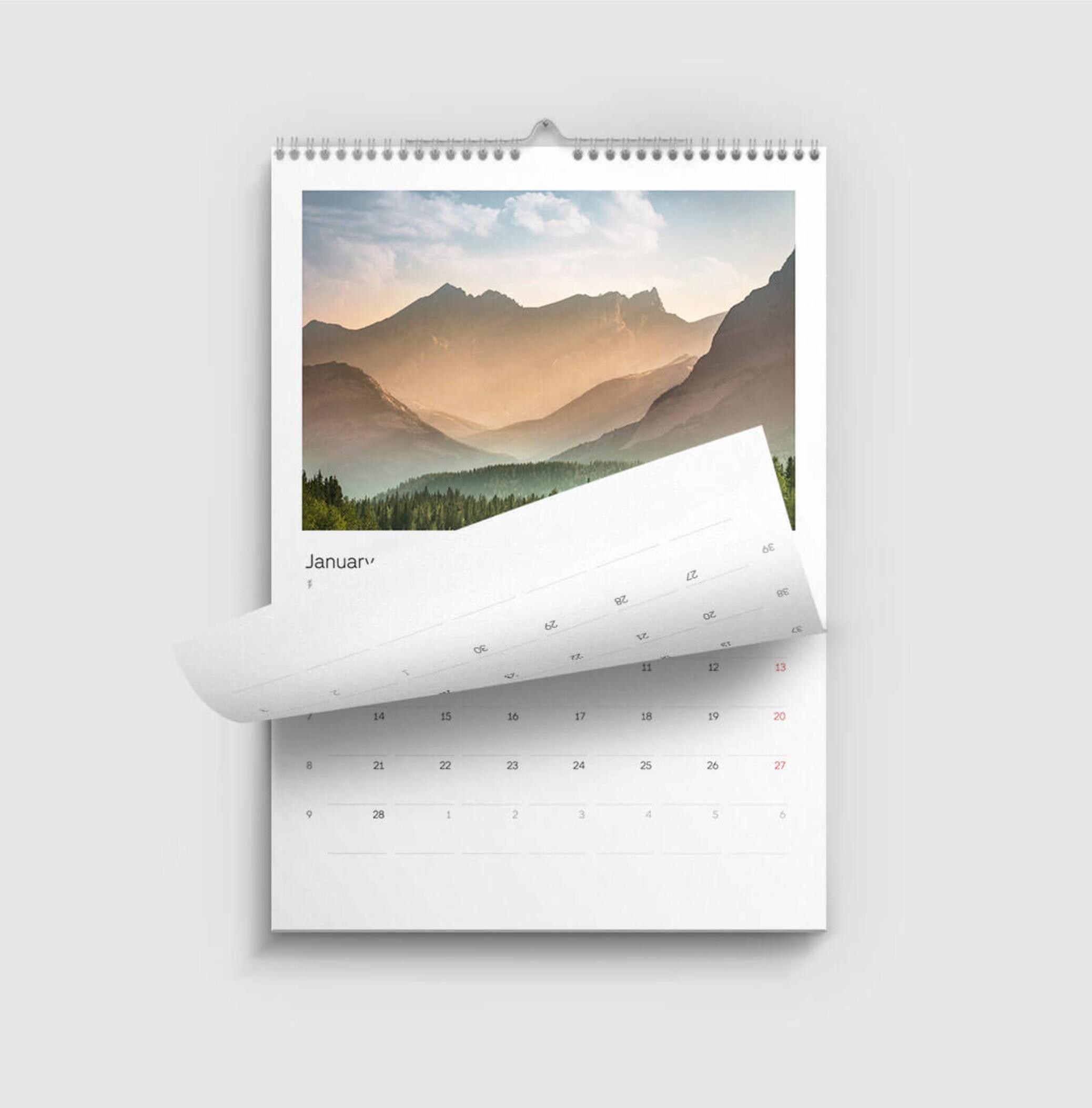 2026 Wall Calendar, Cactus Calendar, Succulent Calendar, Monthly ...