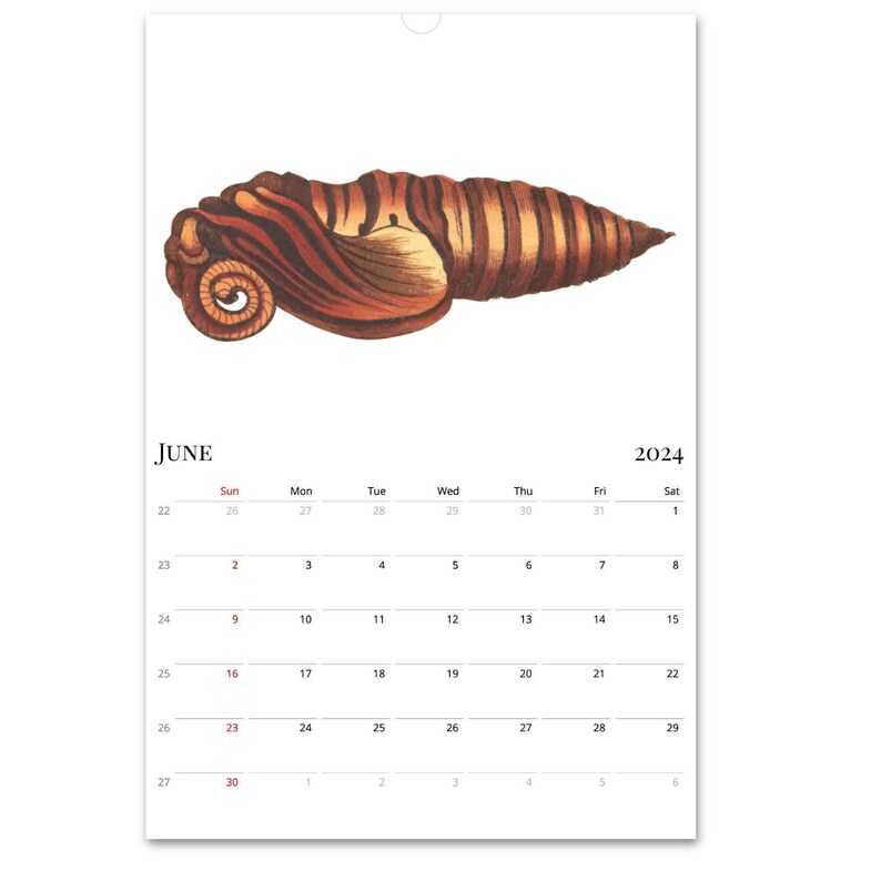 2024 Calendar, Insect Wall Calendar, Mid Year Calendar, Bugs Calendar ...