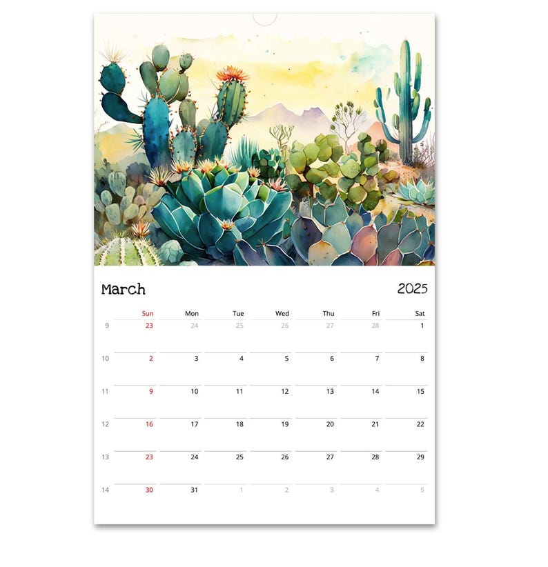 2026 Wall Calendar, Cactus Calendar, Succulent Calendar, Monthly ...