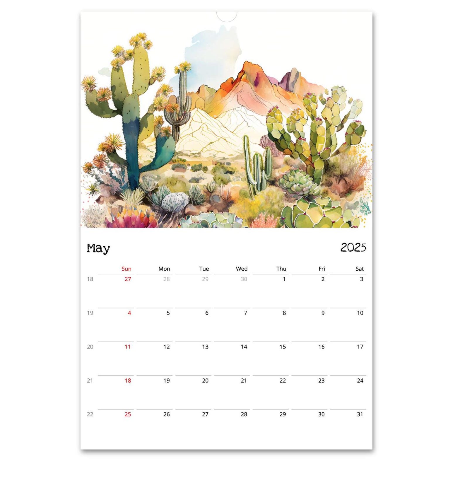 2026 Wall Calendar, Cactus Calendar, Succulent Calendar, Monthly ...