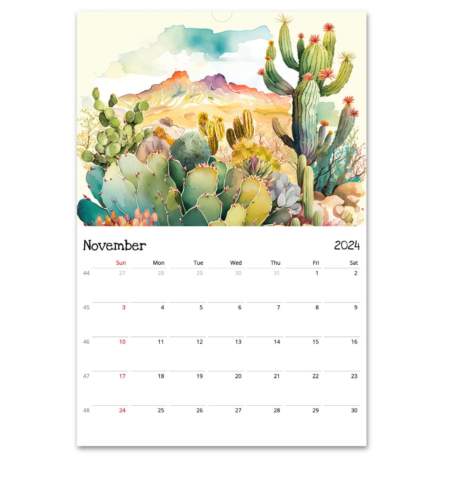 2024 2025 Calendar, Cactus Calendar, Mid Year Calendar, Cactus Wall ...