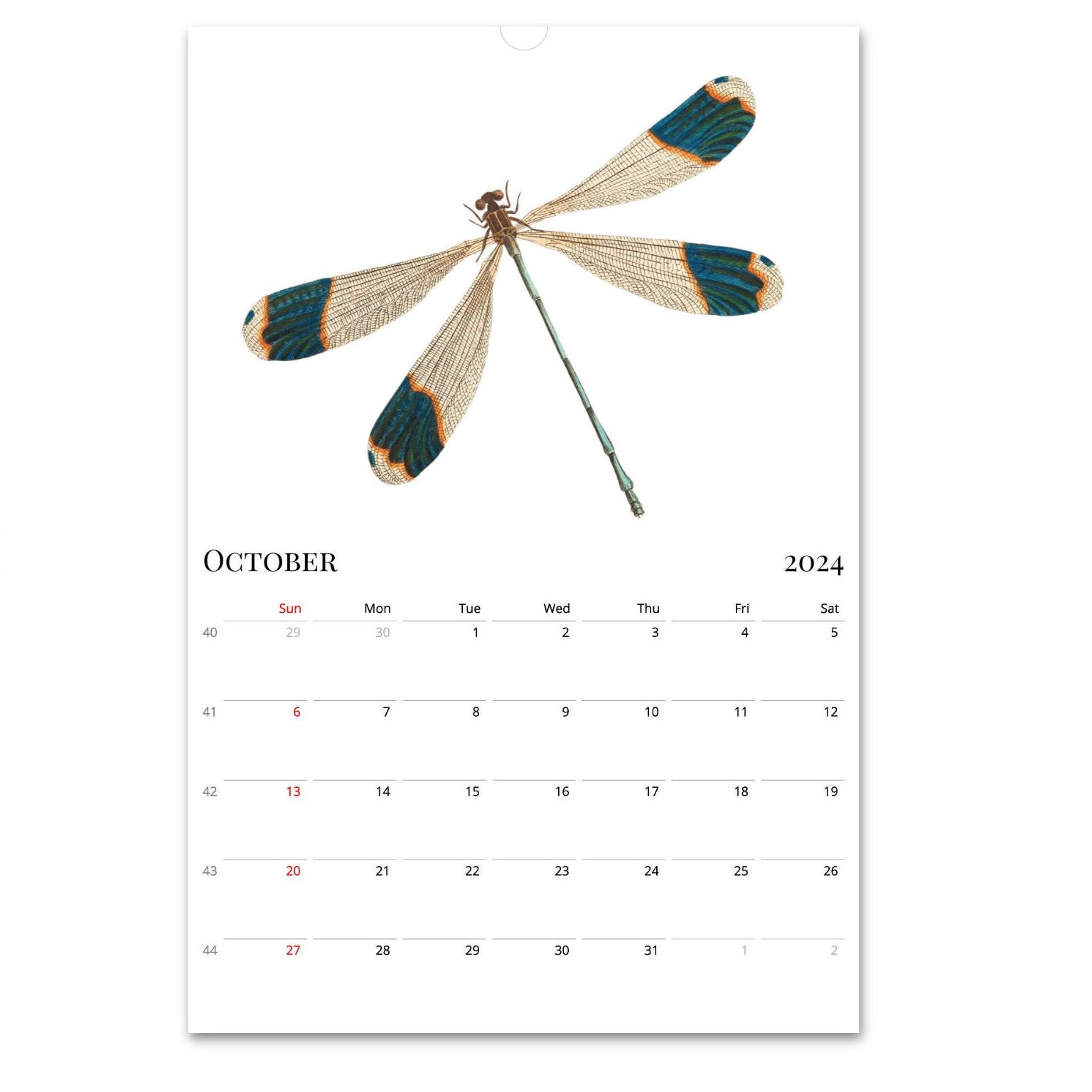 2024 Calendar, Insect Wall Calendar, Mid Year Calendar, Bugs Calendar ...