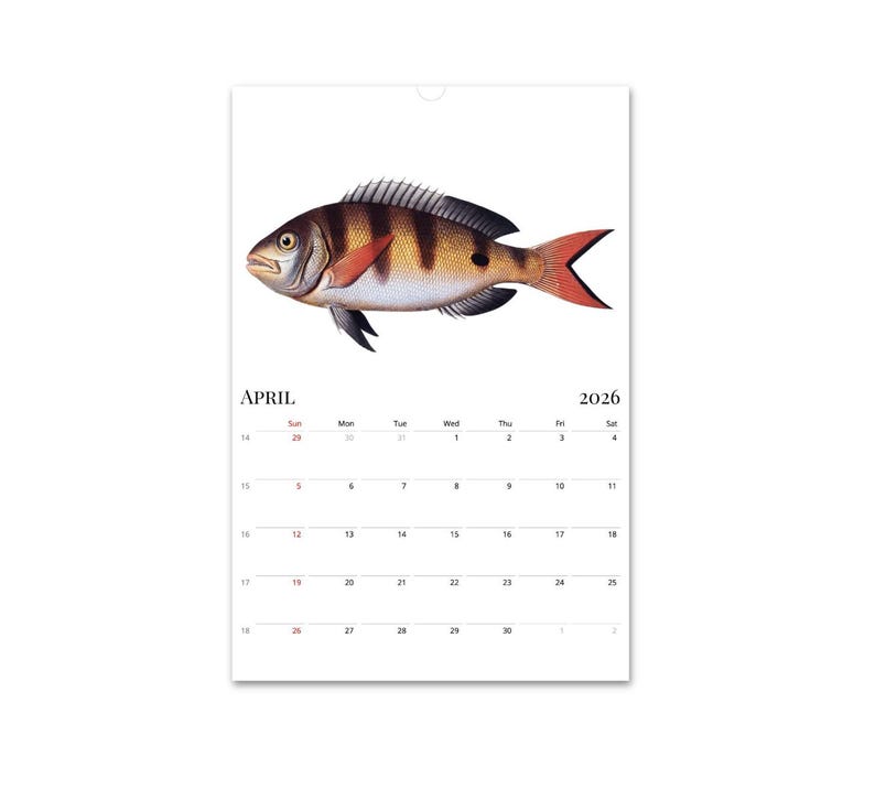 Retro Fish Wall Calendar 2026: Angler Gift, A3 Size, Monthly Calendar ...
