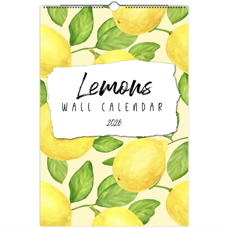 Blank Calendar Gift - 60+ Gift Ideas for 2025