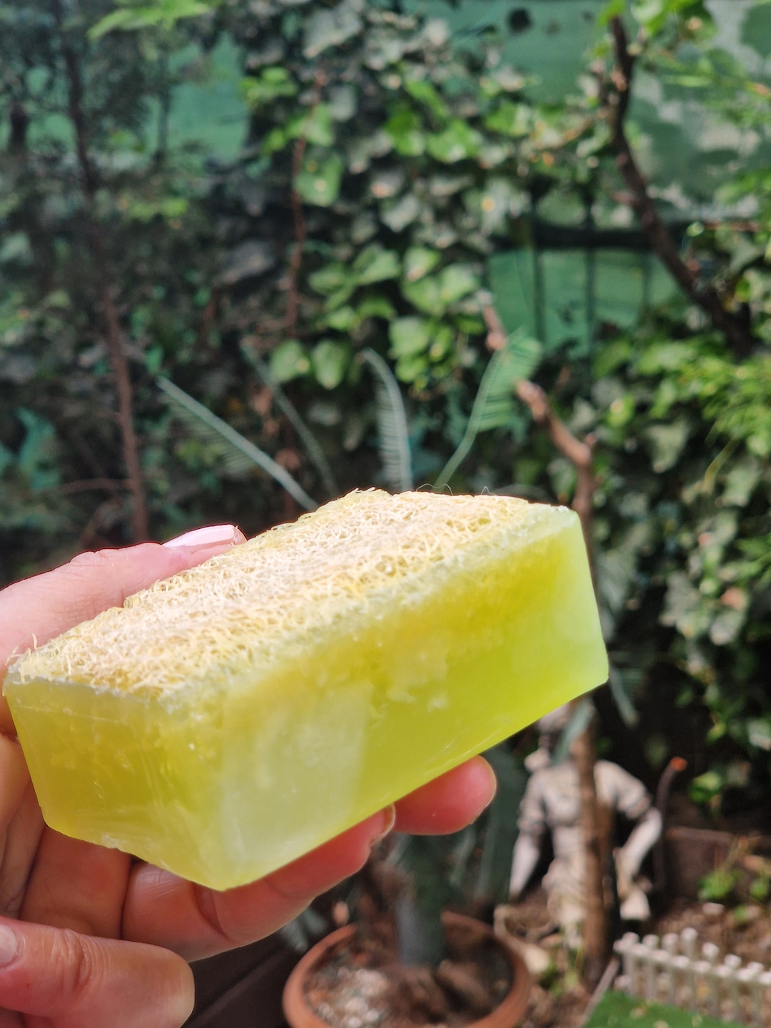 Organic Aloe Vera Soap Bar With Loofah,handmade,100% Organic ...