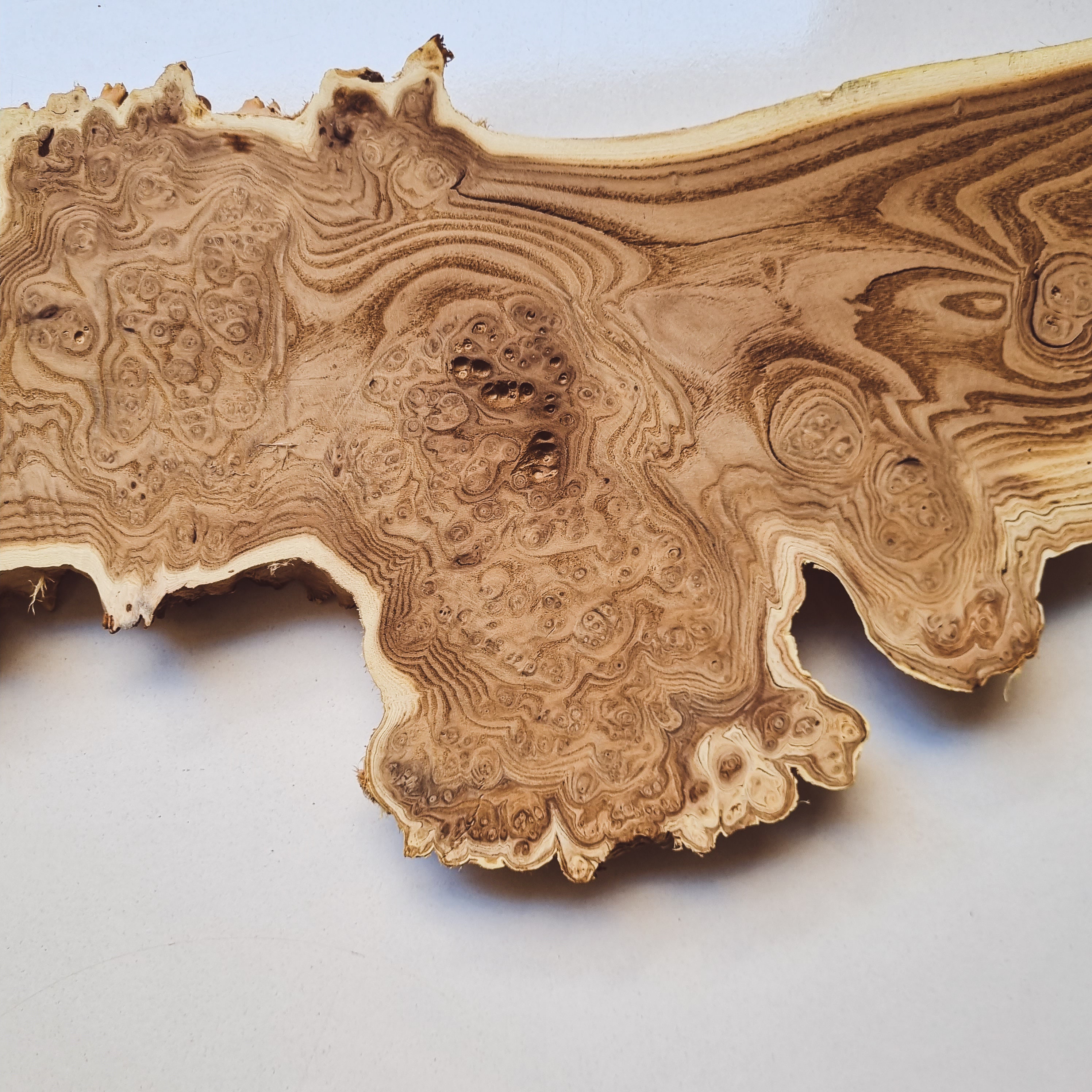 Live Edge Raw Edged Wood Sheet, Live Edge Sheet Unfinished for Craft ...