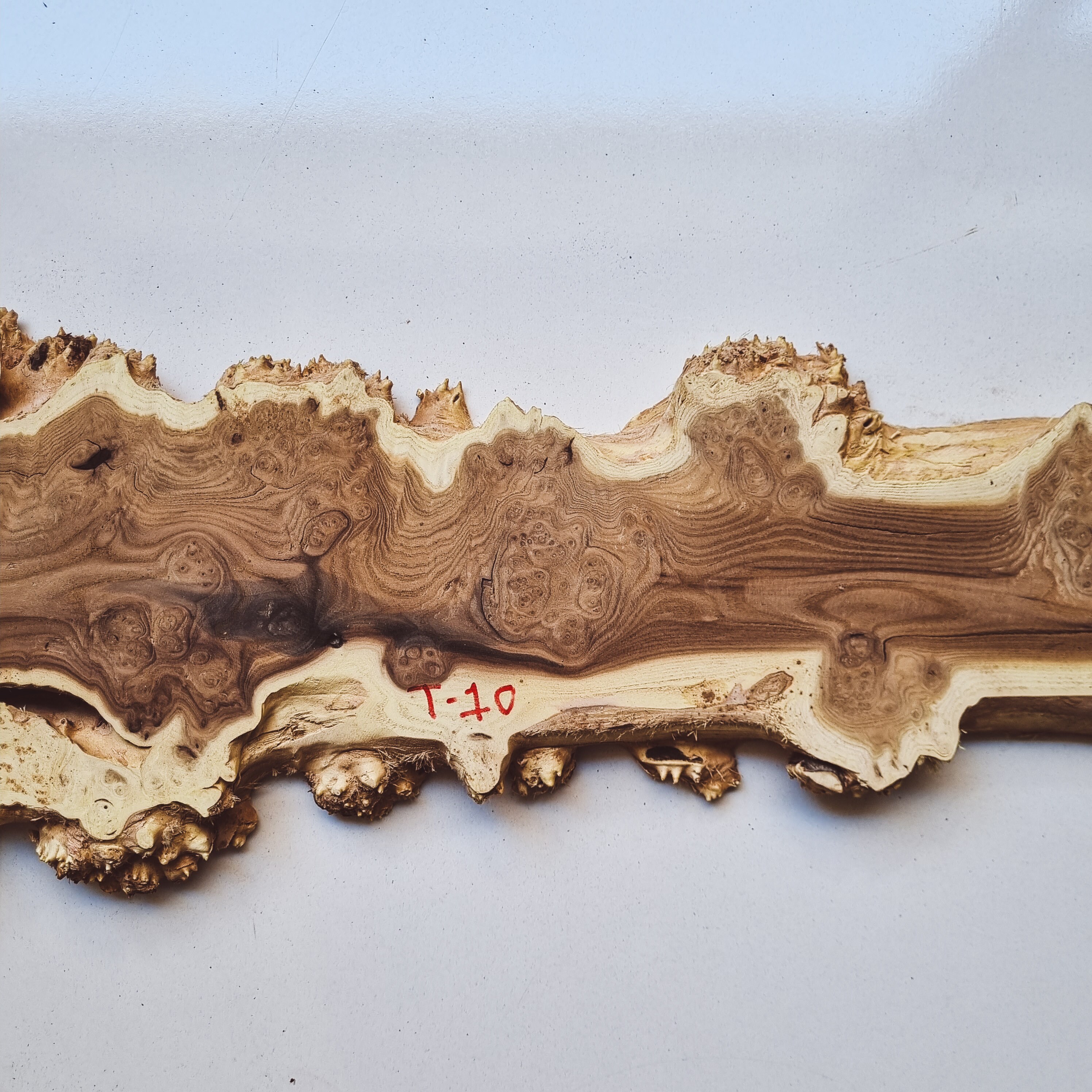 Silverberry Tree Wood Slab Raw Edge Wood Slab Wood Slab Live Edge Slab ...