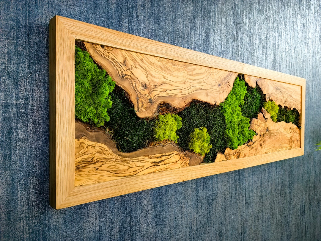 Moss Wall Decor and Olive Wood - Etsy