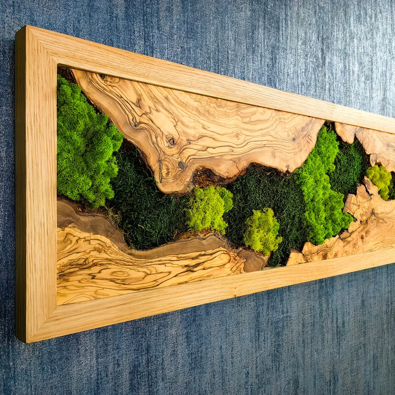 Moss Wall Decor - Etsy