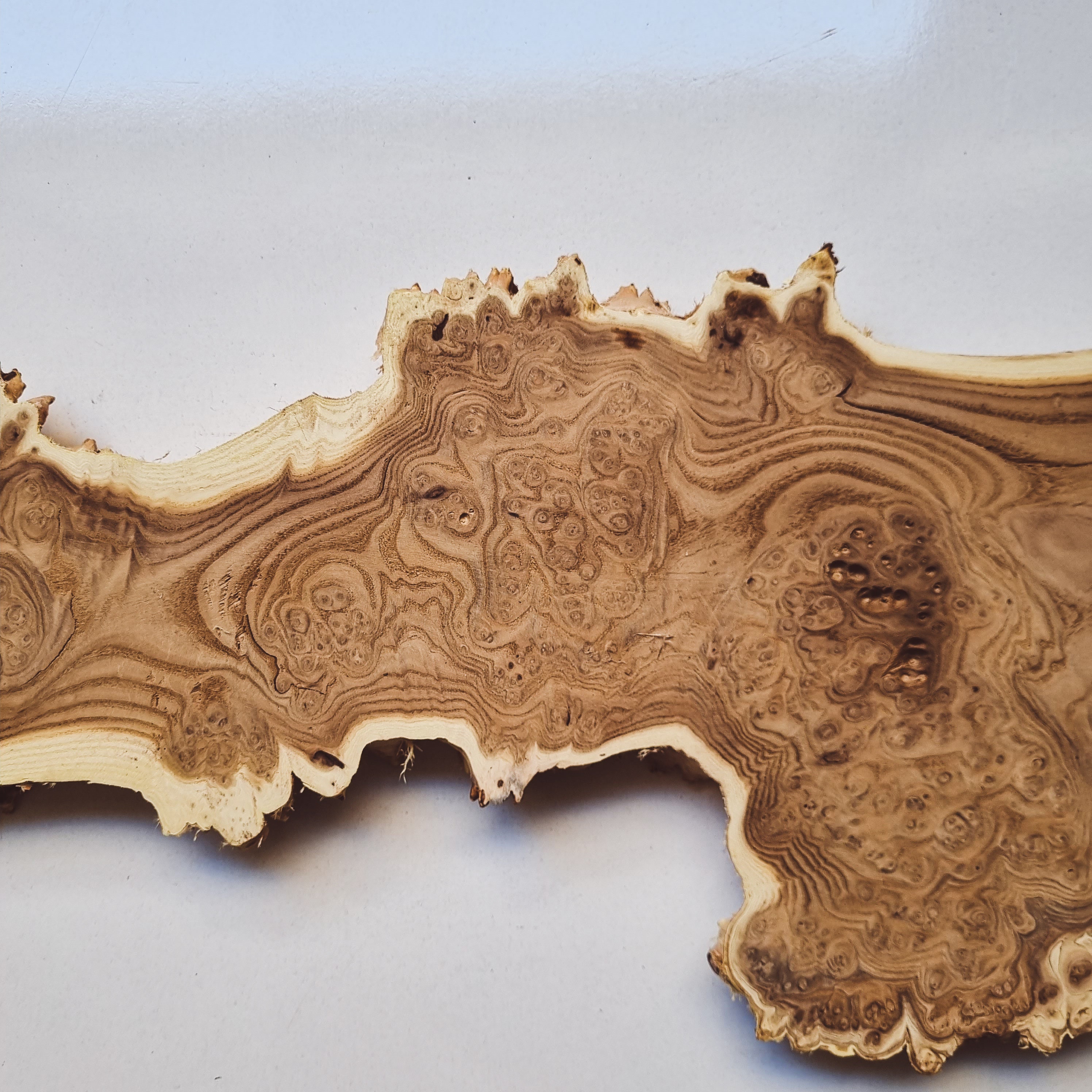 Live Edge Raw Edged Wood Sheet, Live Edge Sheet Unfinished for Craft ...